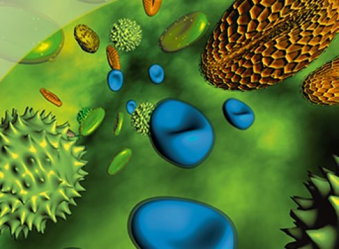 Allergy Diagnostics: Reliable Tests for the Diagnosis of Allergies