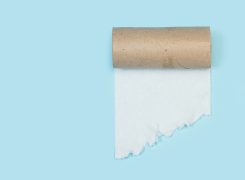 Mycology: Test kits for the diagnostics of mycological infections