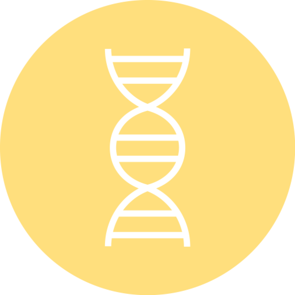 System solutions from AusDiagnostics - Clinical Diagnostics