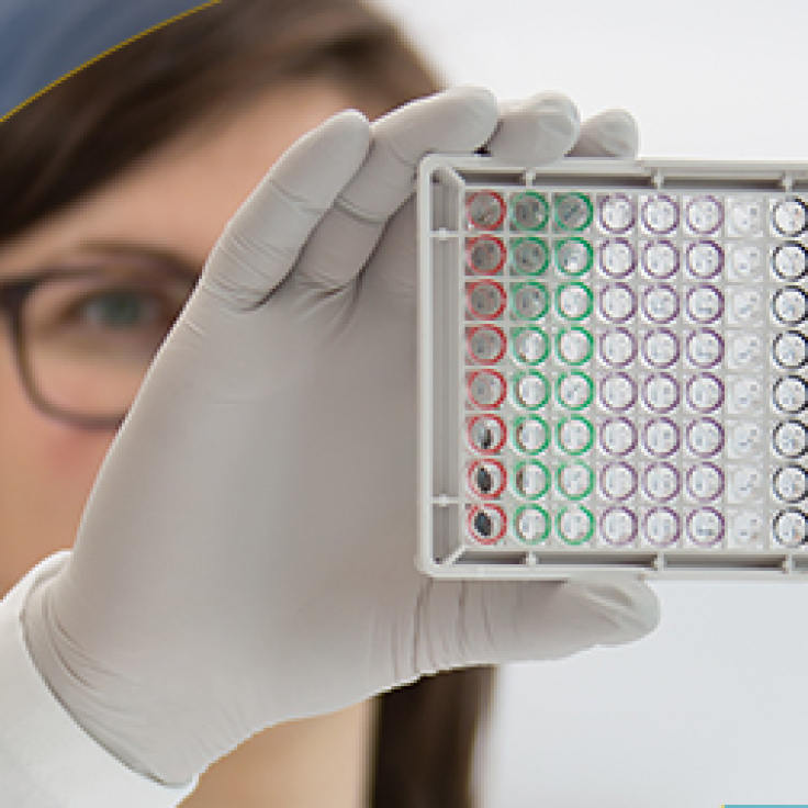 Smart idea, high performance: Microspot arrays revolutionize diagnostics
